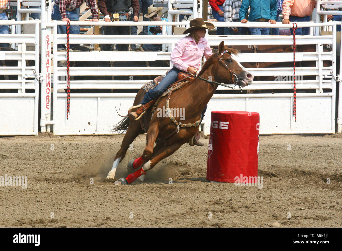 Rodeo , Alberta, Canada Stock Photo - Alamy