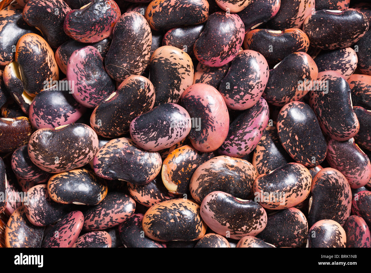 color beans background Stock Photo - Alamy