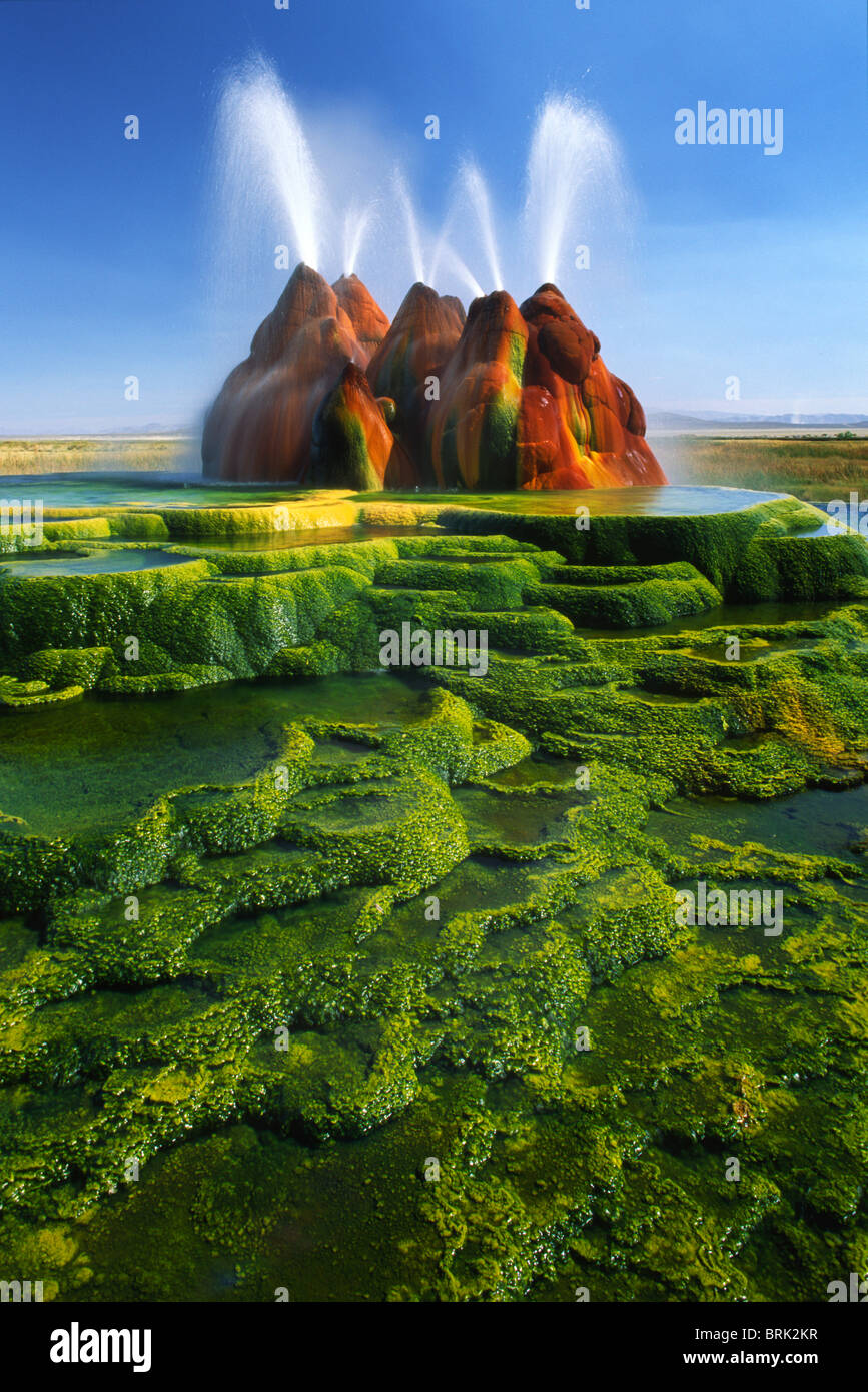 The continuous Fly Geyser in the Black Rock Desert of Nevada, USA Stock ...