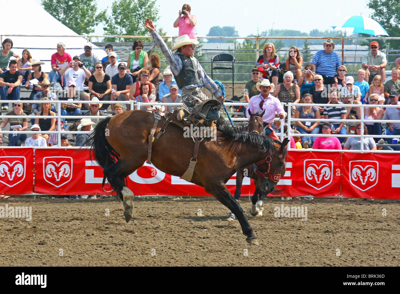 Rodeo , Alberta, Canada Stock Photo - Alamy