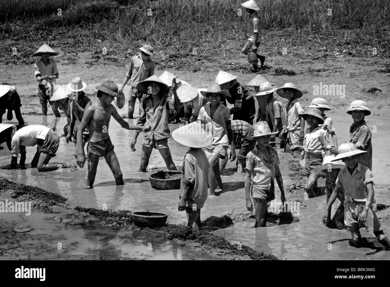 Child labor, boys to work in a rice paddy, Hanoi, Vietnam Stock Photo ...