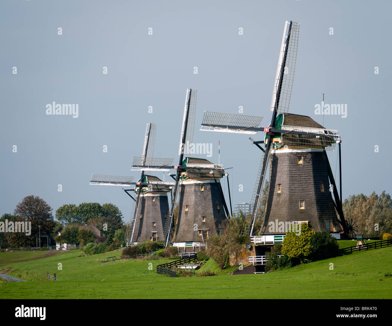 Three historic windmills at Leidschendam near The Hague in The ...