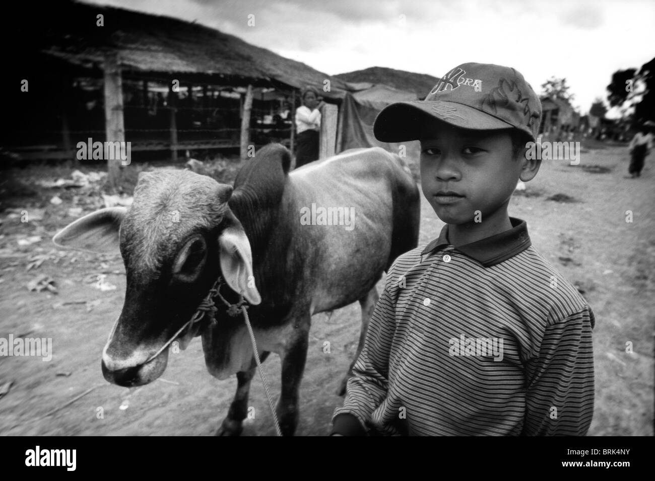 Child labor, young cattle rancher, Tan Tan, Myanmar Stock Photo - Alamy