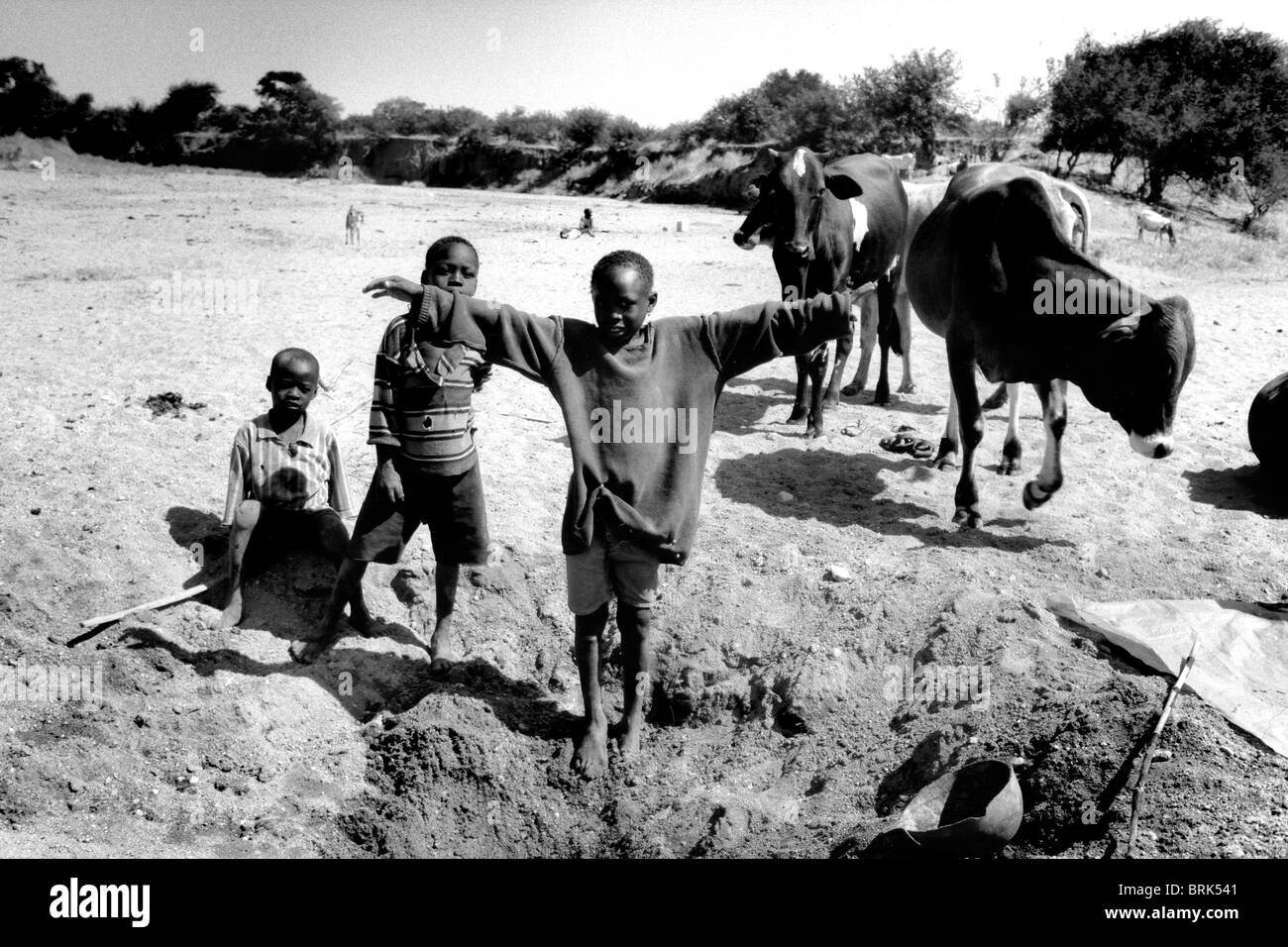 Child labor, young cattle ranchers, nuba mountain, Gidel, Sudan Stock ...
