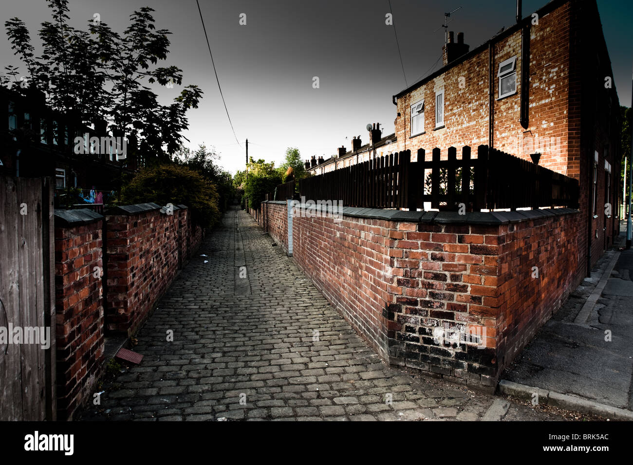 A cobbled back alley in Manchester Stock Photo - Alamy