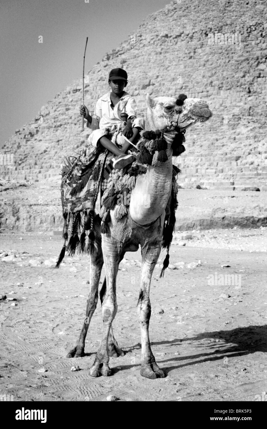 Child labor, Young Driver of dromedaries, Giza, Egypt Stock Photo - Alamy