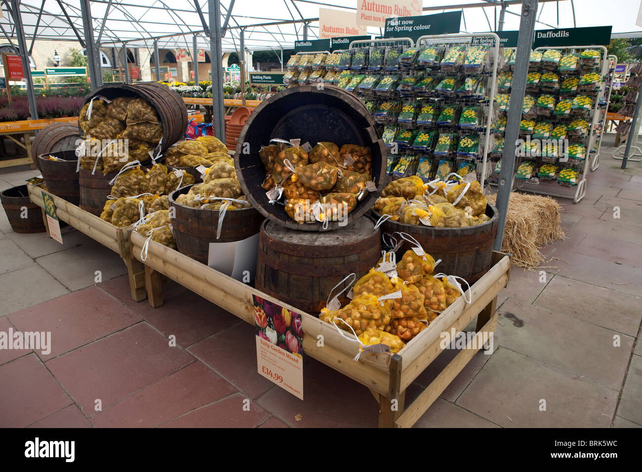 Syon House Garden Center Stock Photo - Alamy