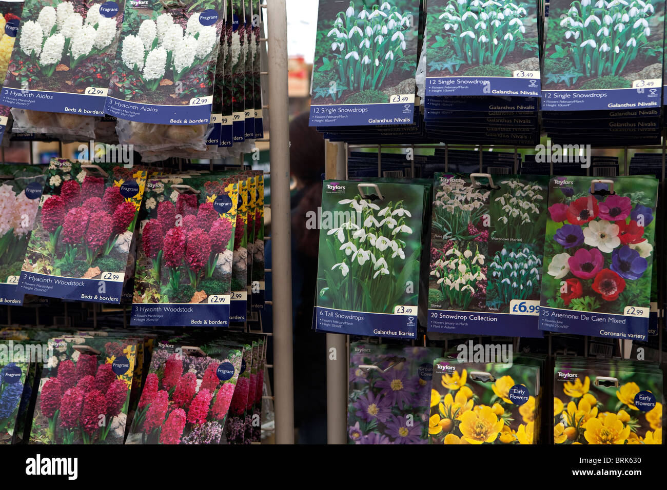 Syon House Garden Center Stock Photo - Alamy