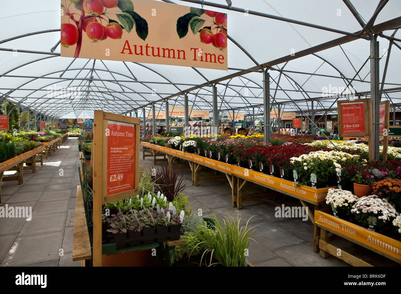 Syon House Garden Center Stock Photo - Alamy