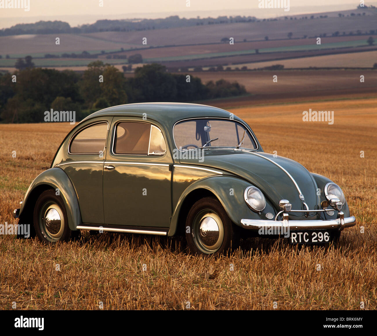 1953 Volkswagen Beetle 1131cc parked in field Stock Photo - Alamy