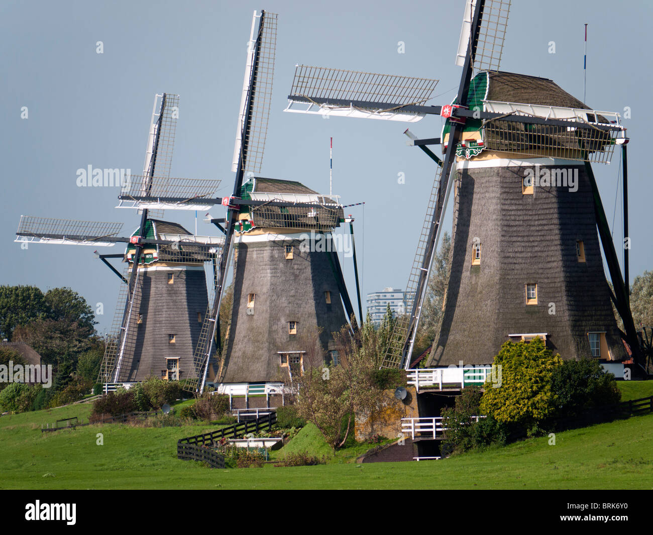 Three historic windmills at Leidschendam near The Hague in The ...