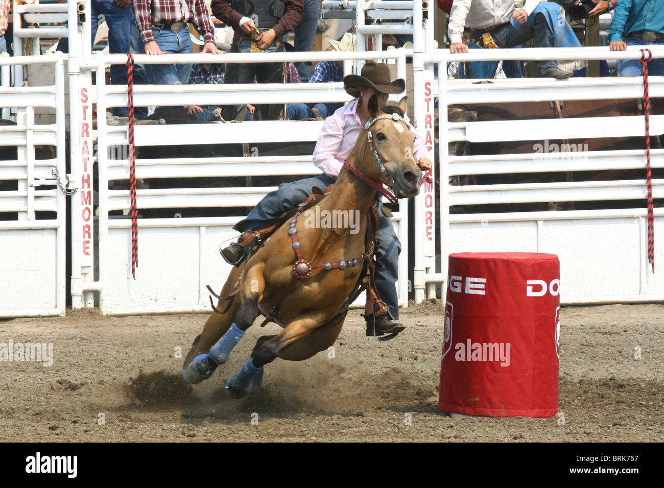 Rodeo , Alberta, Canada Stock Photo - Alamy