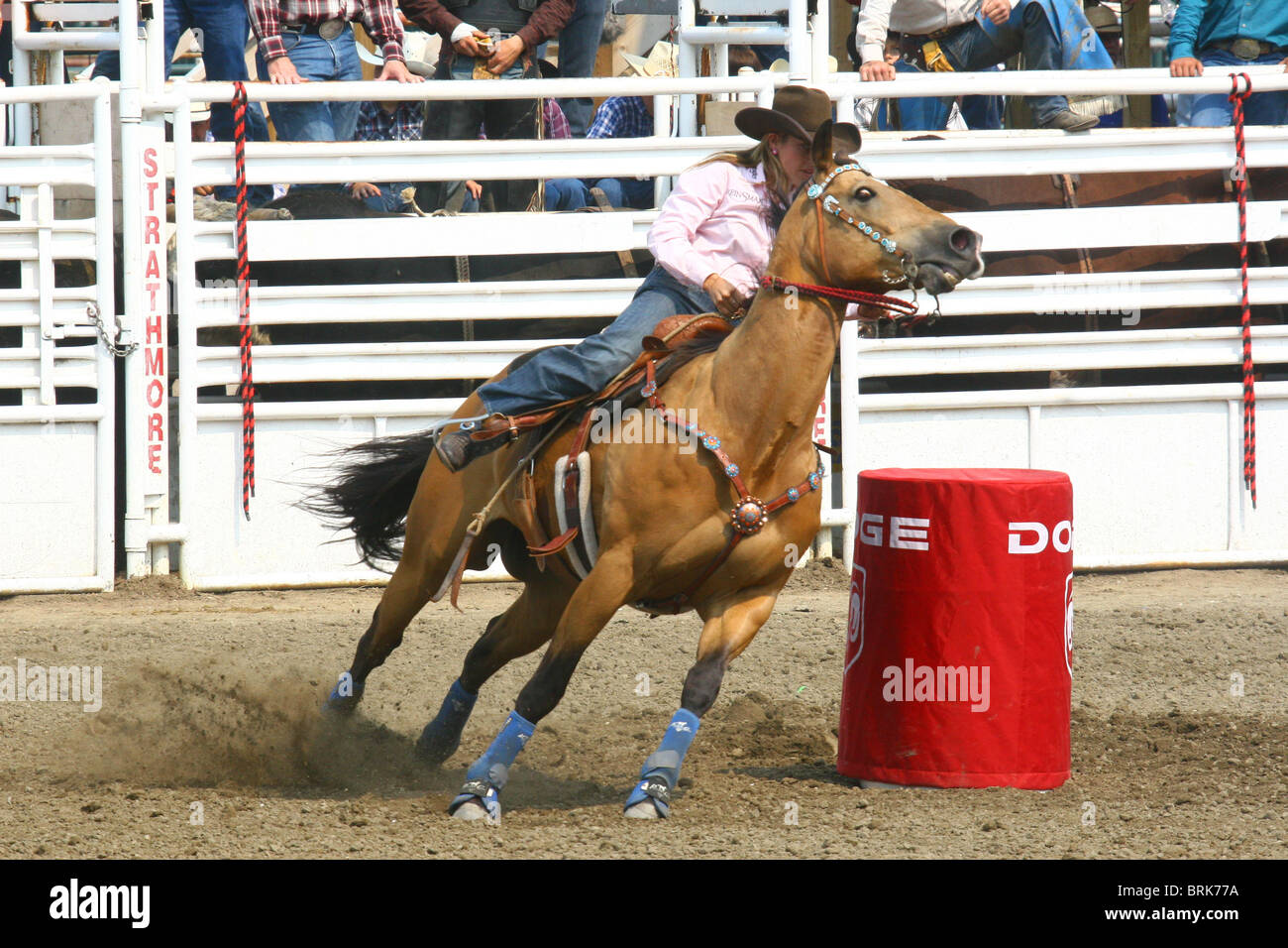 Rodeo practice hi-res stock photography and images - Alamy