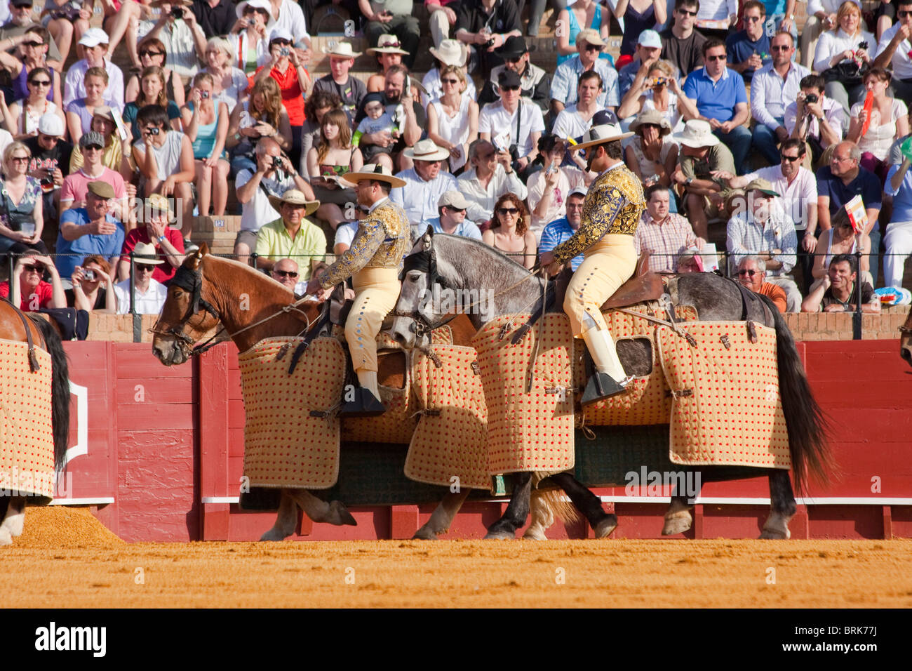 bull fighting scene in sevilla, spain Stock Photo - Alamy