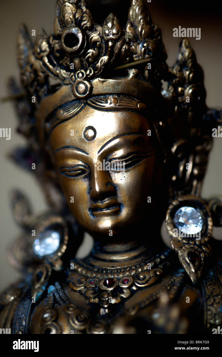 Tara Means's Instagram, Twitter & Facebook on IDCrawl