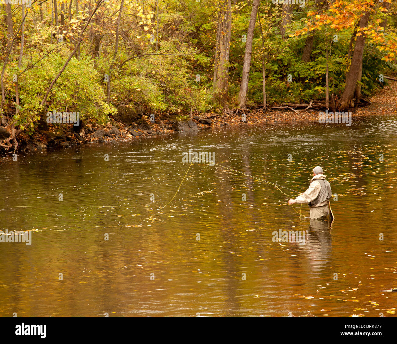 Angler fishing in a deep river in fall with the leaves changing colors ...