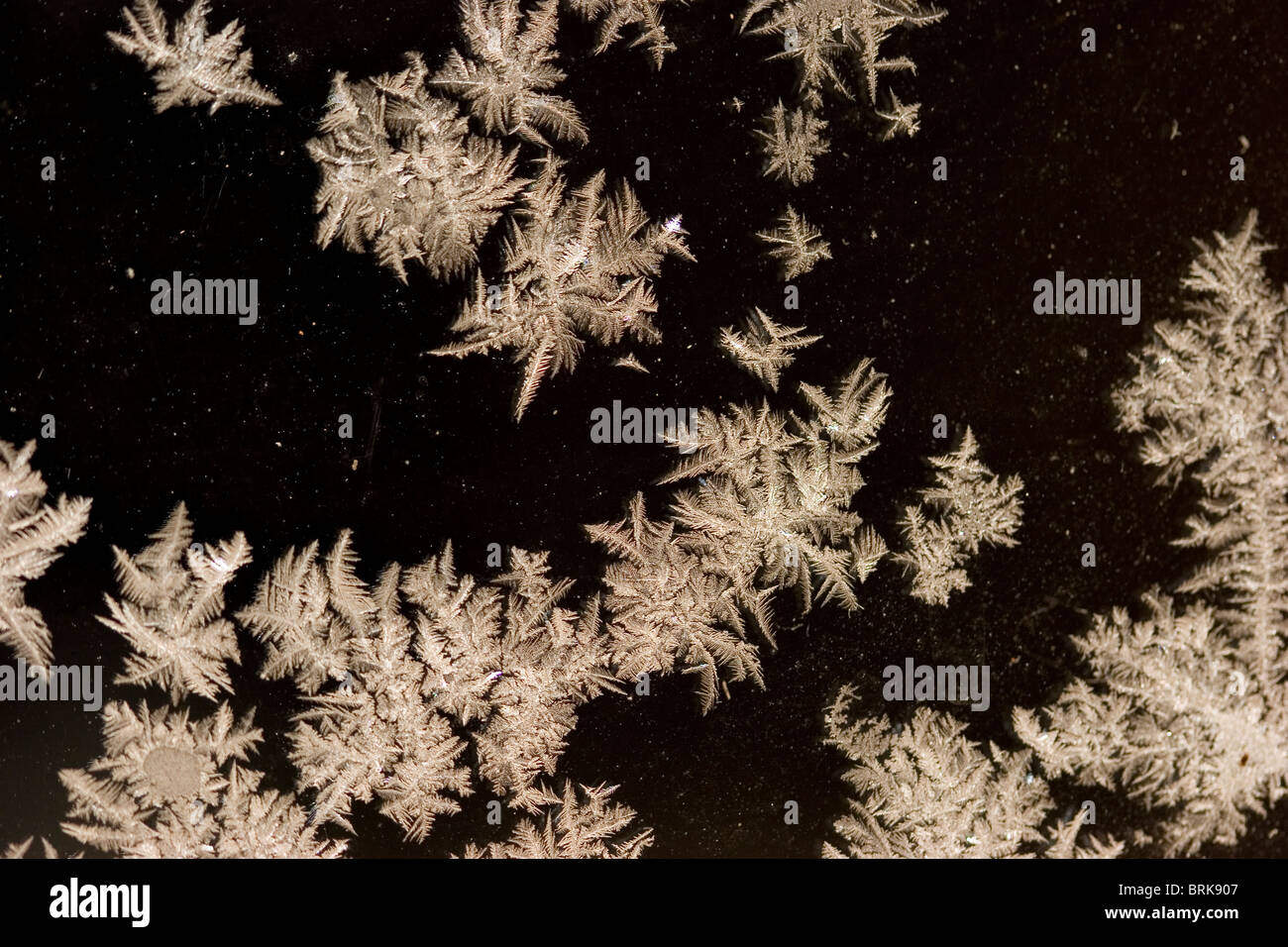 Frost design hi-res stock photography and images - Alamy