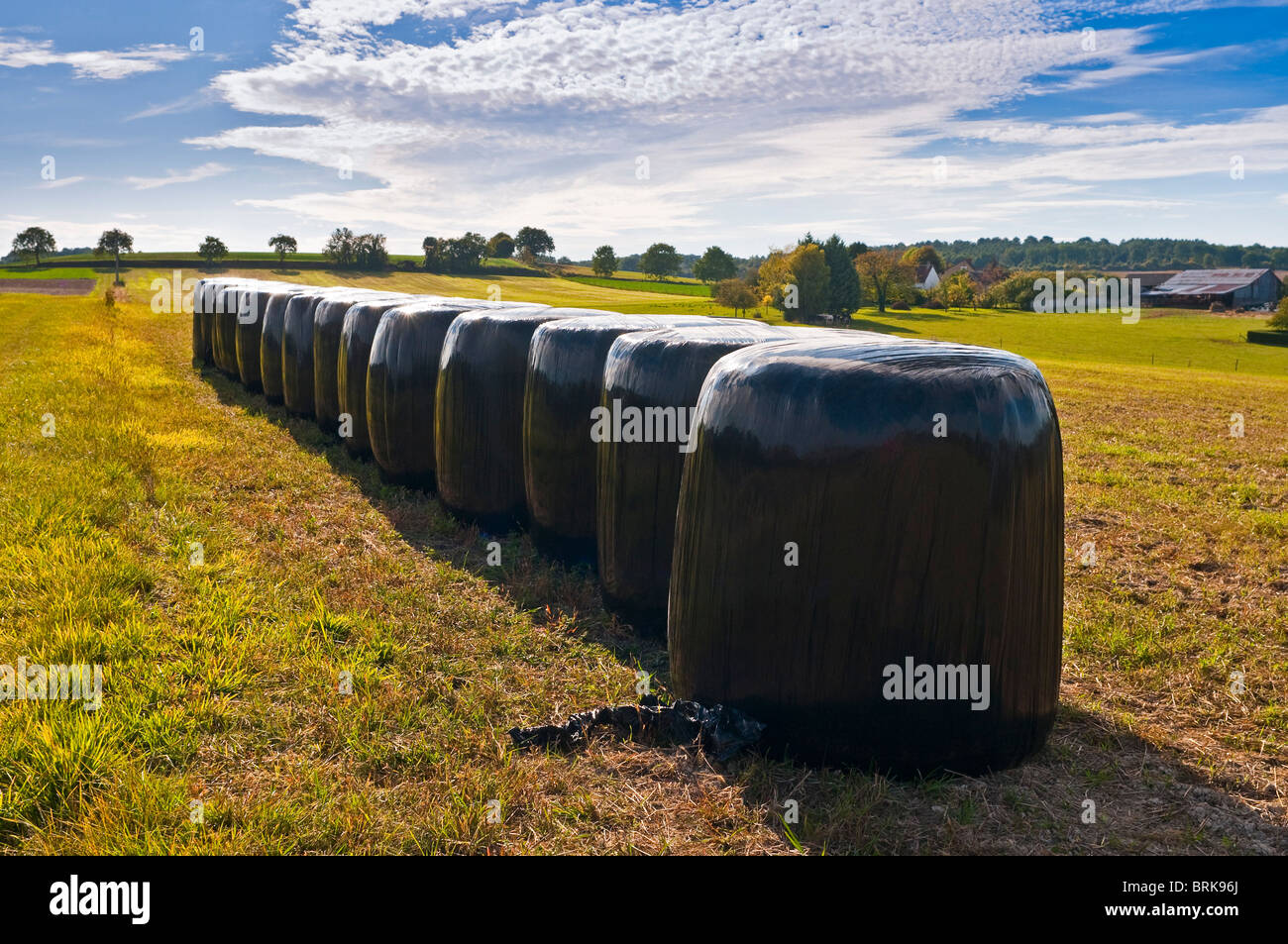 Silage bales field hi-res stock photography and images - Alamy