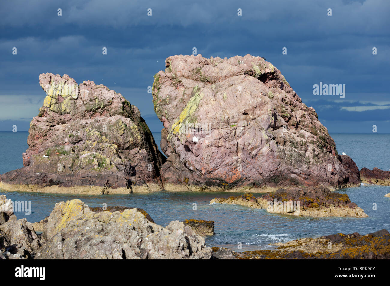 Rocks and cliffs in the bay of St Abbs on the Berwickshire Coast Stock ...