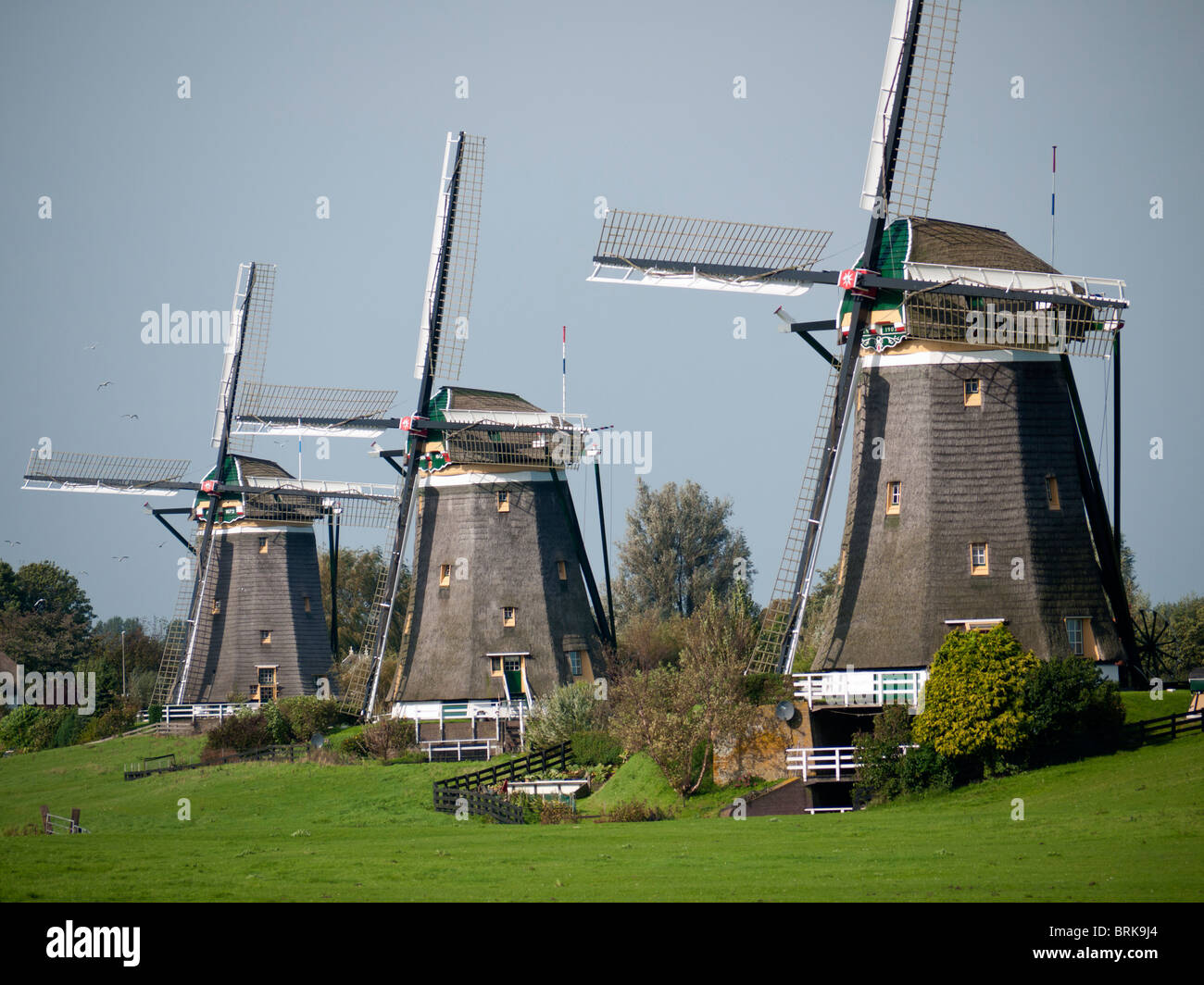 Three historic windmills at Leidschendam near The Hague in The ...