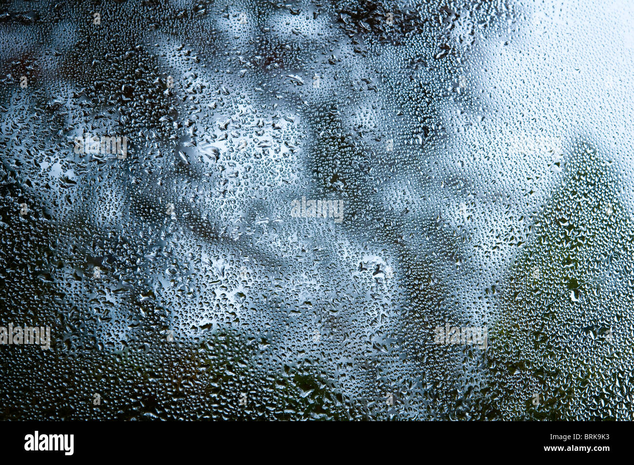 Water droplets / Condensation on a window - with tree shadows in the ...