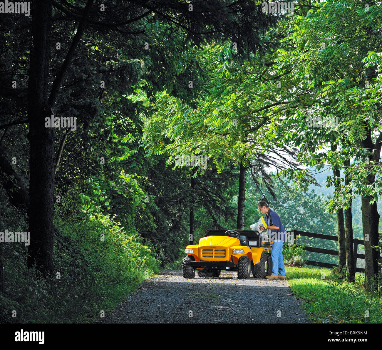 Yellow cub cadet tractor used for small chores on property Stock Photo ...