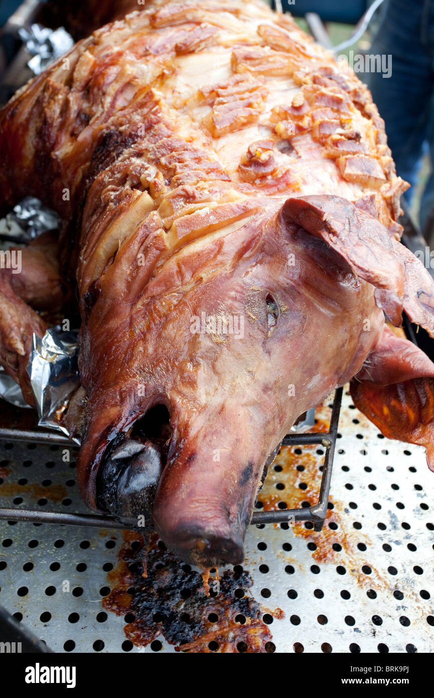 Young pig apple in mouth hi-res stock photography and images - Alamy