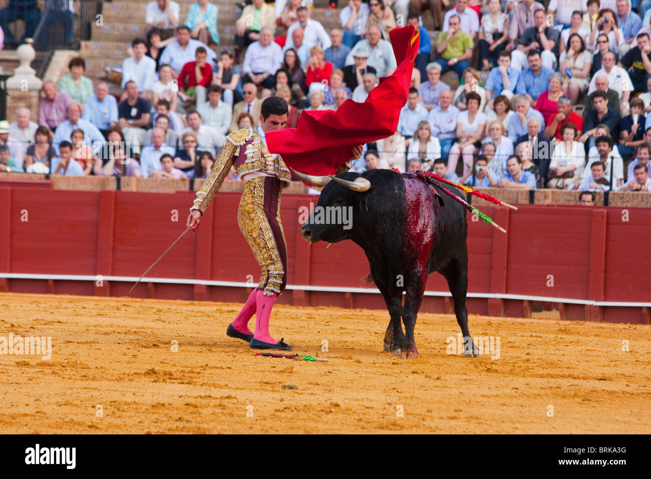 matador in bull fighting scene in sevilla, spain Stock Photo - Alamy