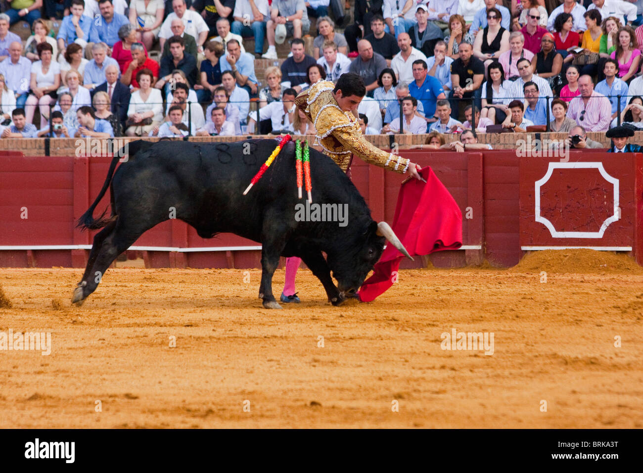 Matador spain bull hi-res stock photography and images - Alamy