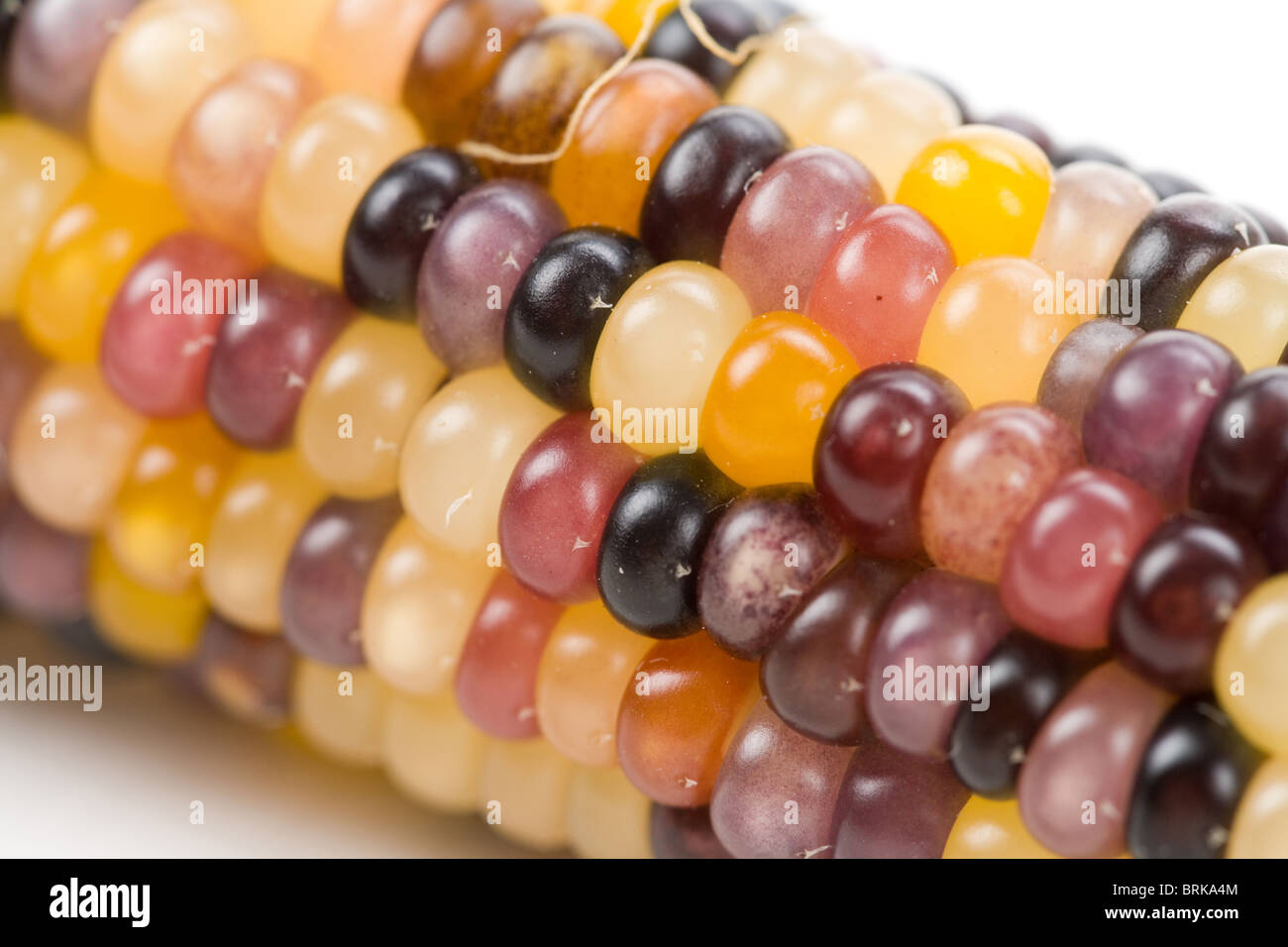 Indian corn hi-res stock photography and images - Alamy