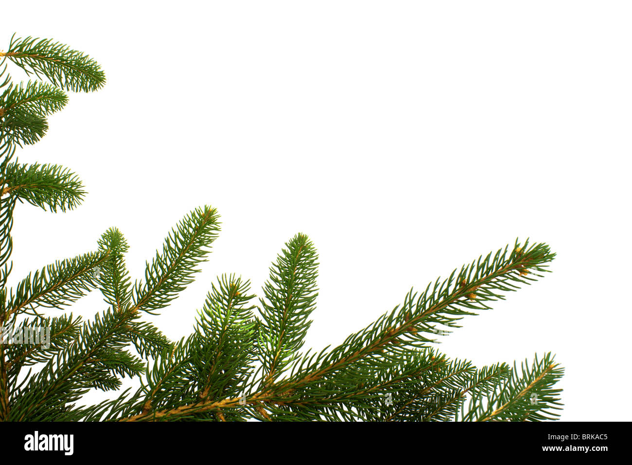 Cut-outs - Christmas decorations; Plants and trees Stock Photo - Alamy