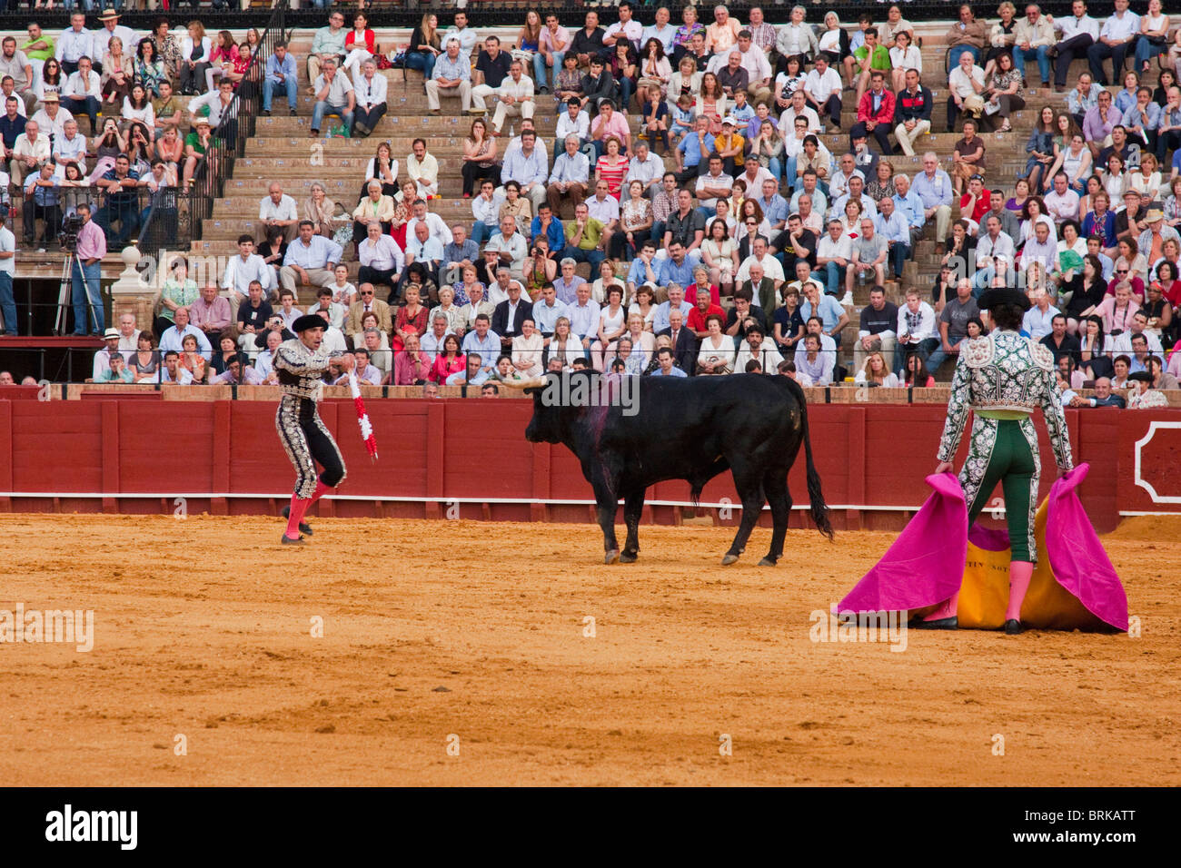 Fighting bull banderillas hi-res stock photography and images - Alamy