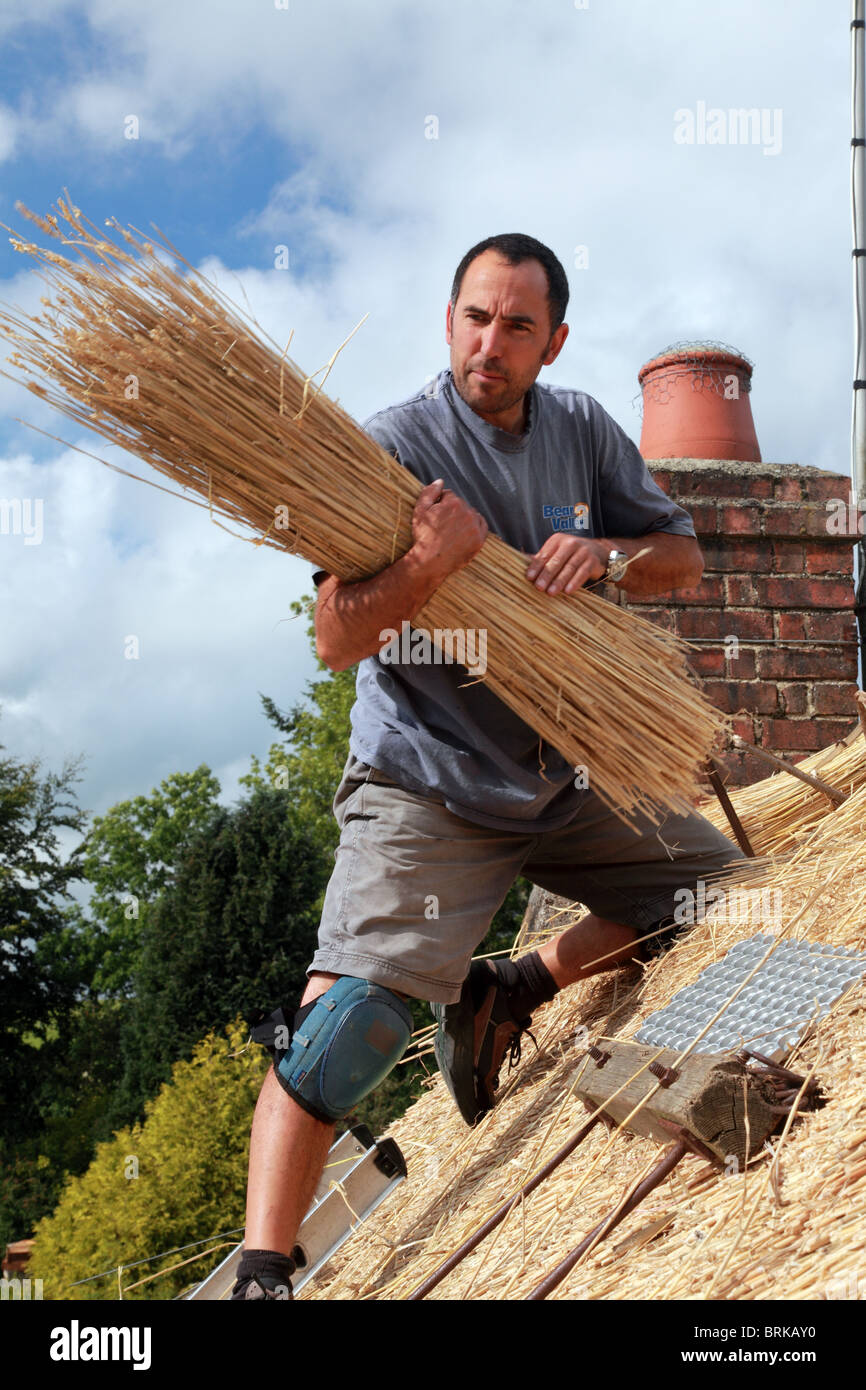 Thatching a roof, Dartmoor, Devon Stock Photo - Alamy