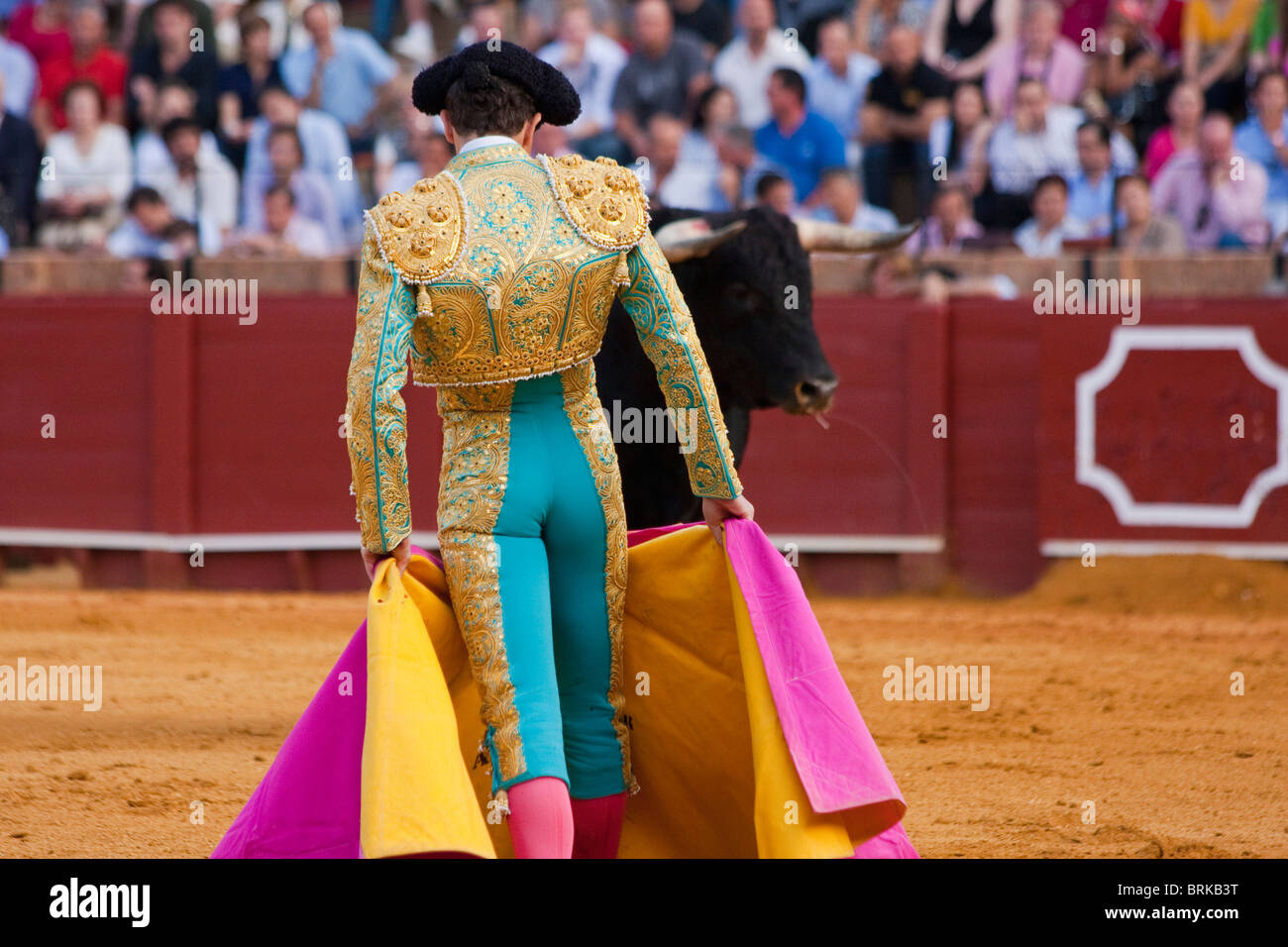 matador and bull in bull fighting scene in sevilla, spain Stock Photo ...