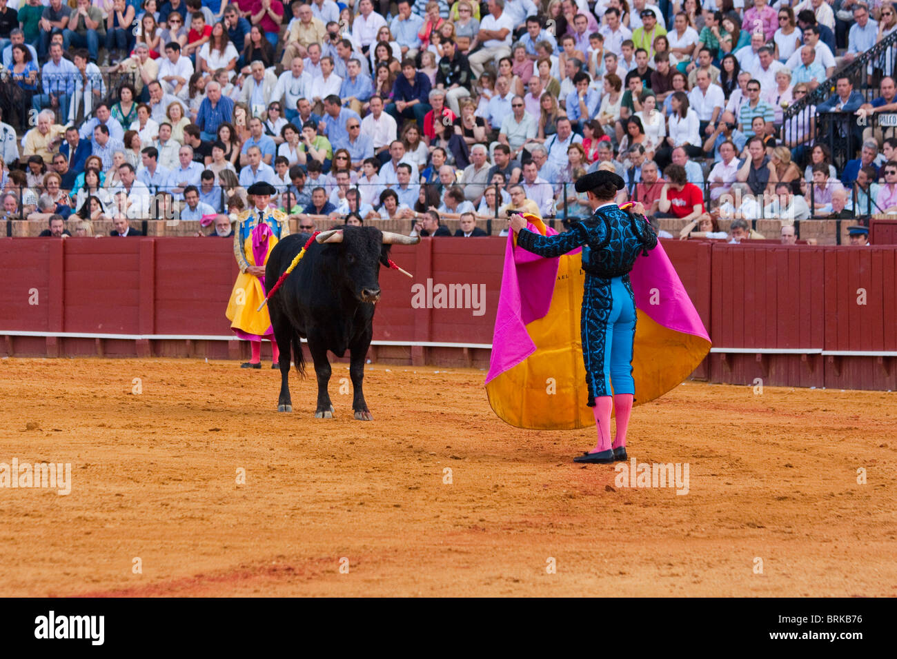 matador and bull in bull fighting scene in sevilla, spain Stock Photo ...