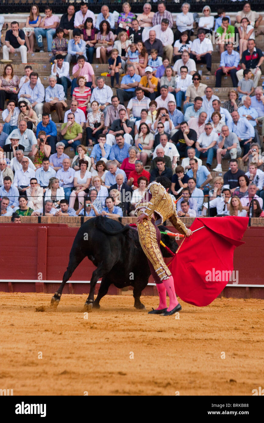 matador in bull fighting scene in sevilla, spain Stock Photo - Alamy
