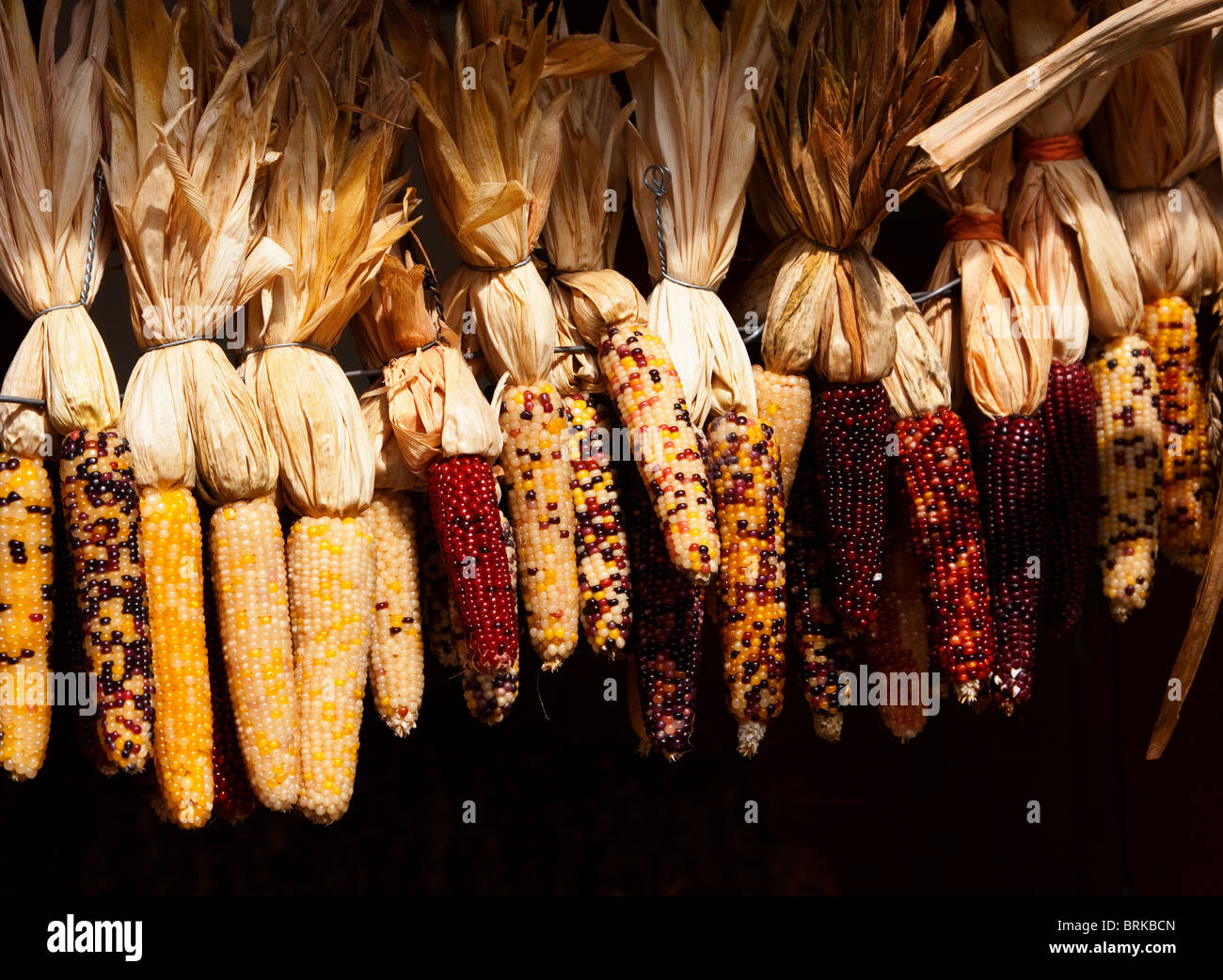 Indian corn hi-res stock photography and images - Alamy