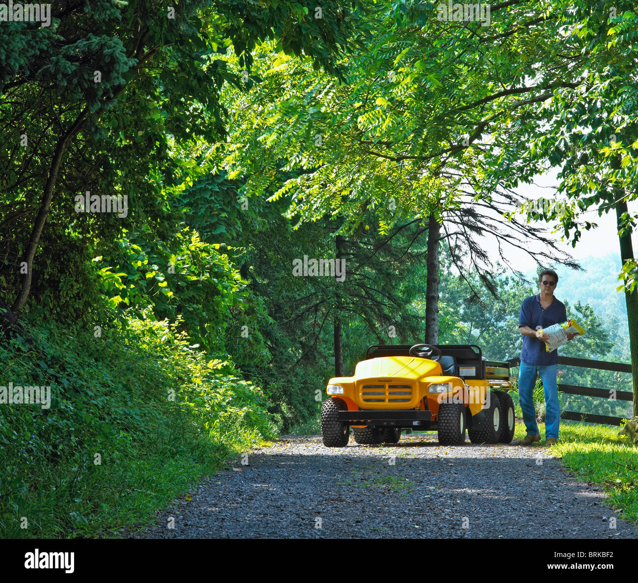 Yellow cub cadet tractor used for small chores on property Stock Photo ...
