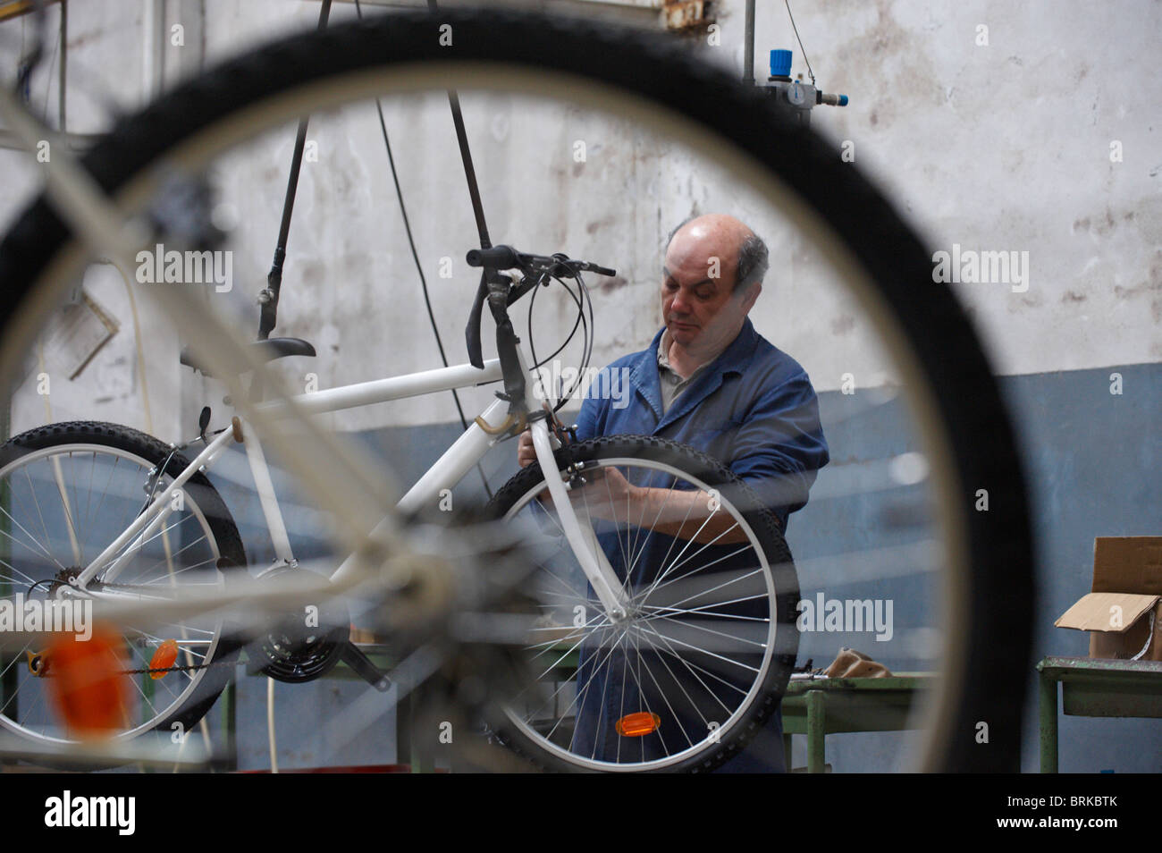 Worker seen through a wheel at the assembly line of a bicycle factory ...