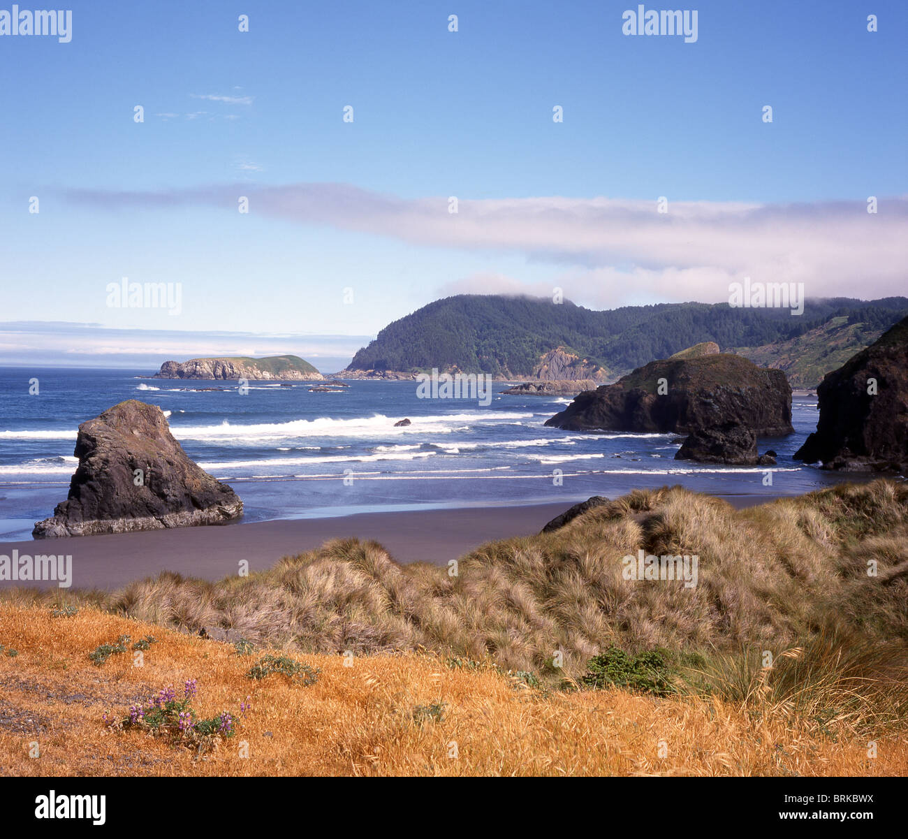 Northern California coast in the earl morning Stock Photo - Alamy