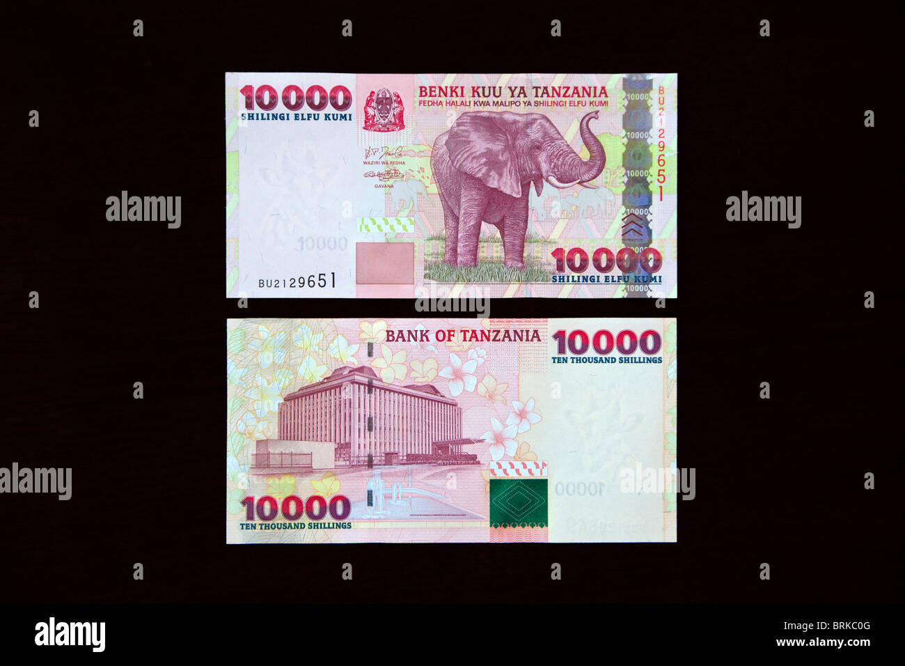 Tanzanian Banknote. 10,000 Shillings, Elephant on front, Bank of ...