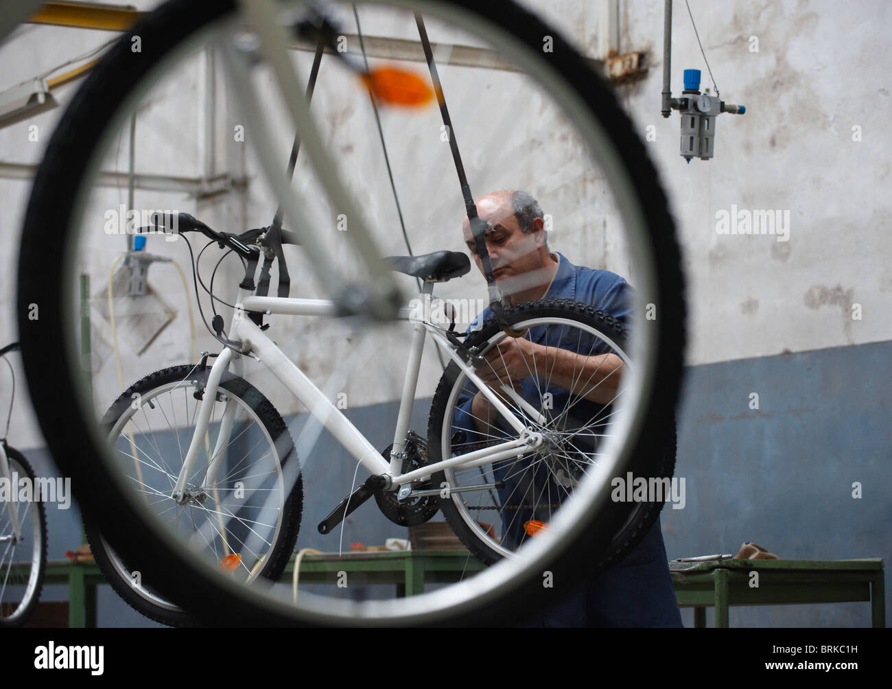 Worker seen through a wheel at the assembly line of a bicycle factory ...
