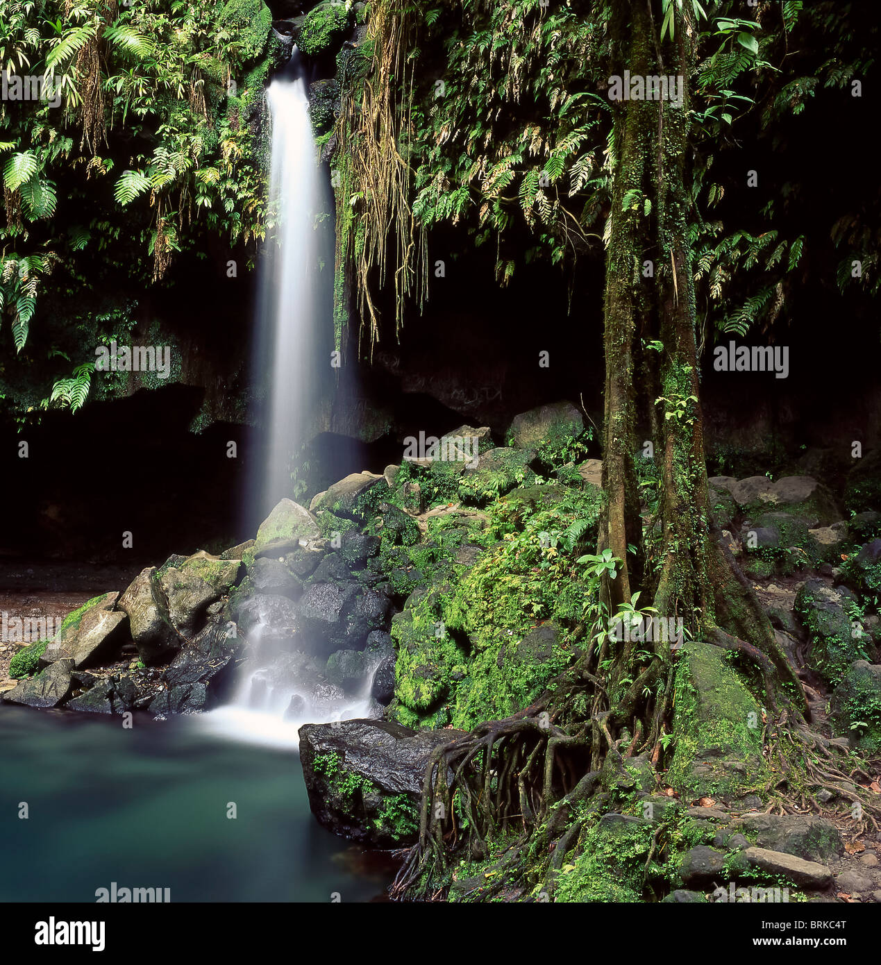 Emerald pool waterfall on hi-res stock photography and images - Alamy