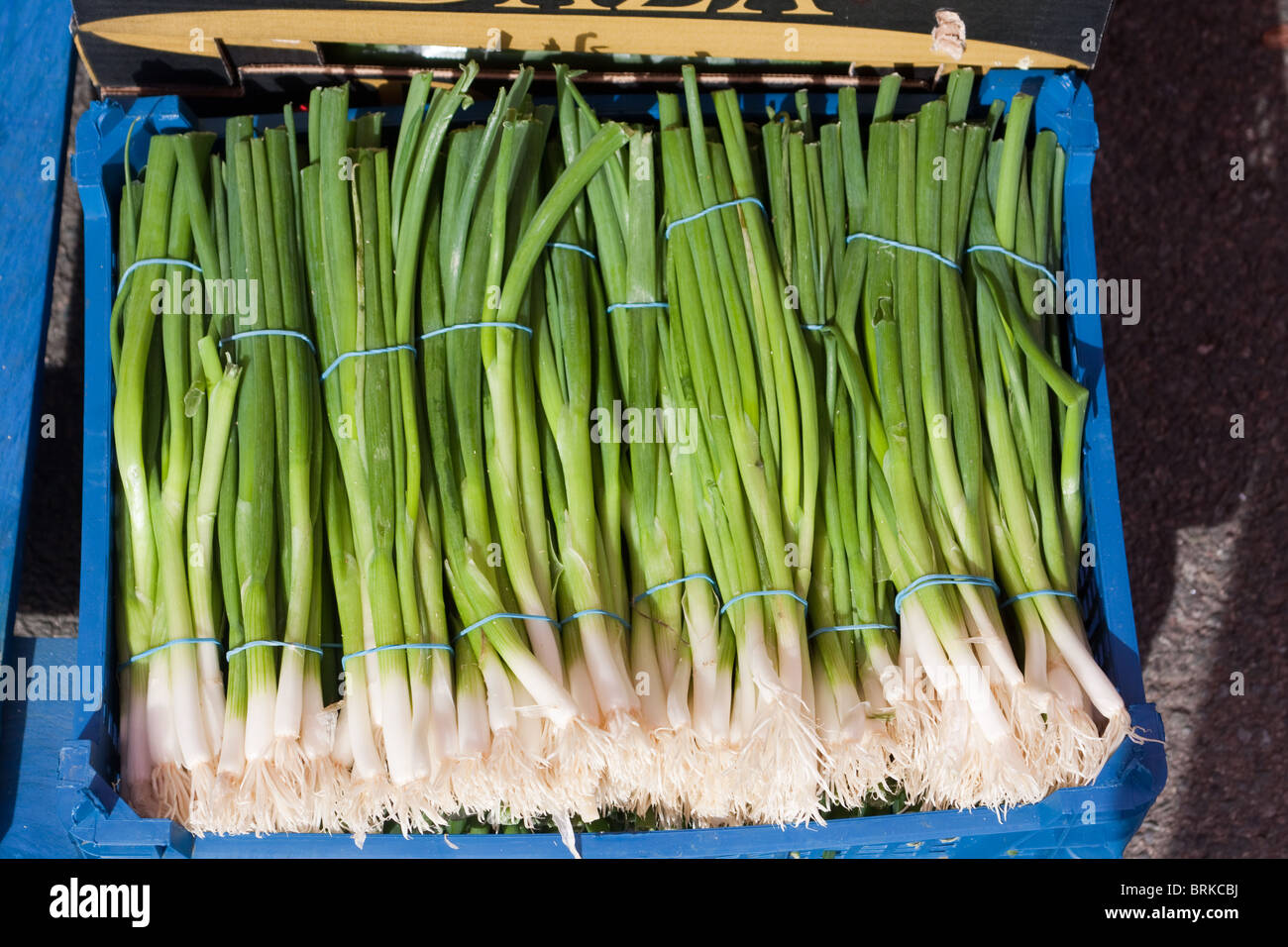 Box of Spring Onions Stock Photo - Alamy