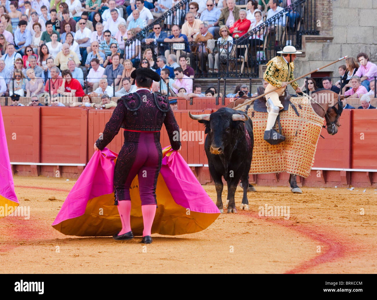 bull fighting scene in sevilla, spain Stock Photo - Alamy