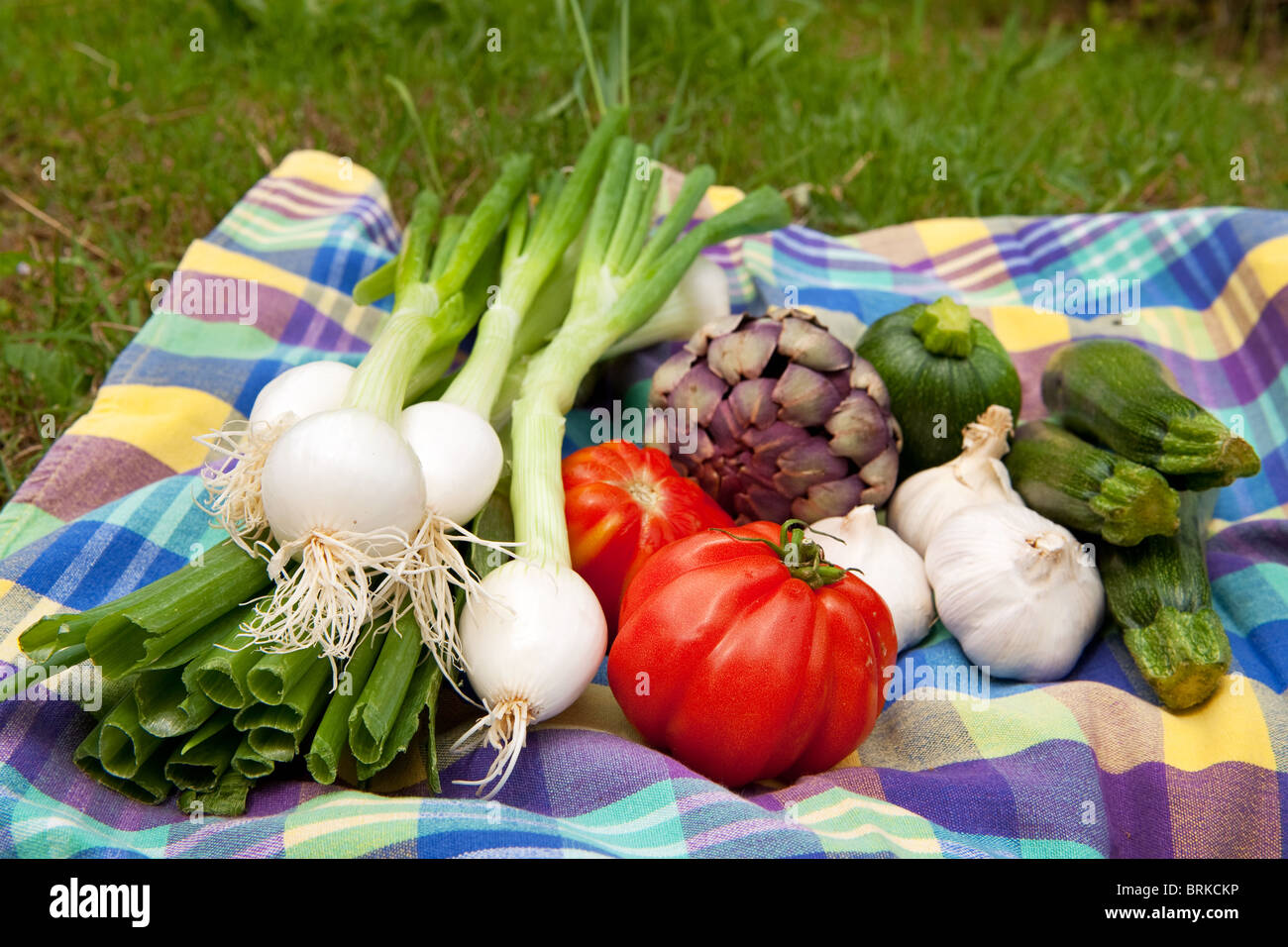 Many various vegetables in rural scene Stock Photo - Alamy