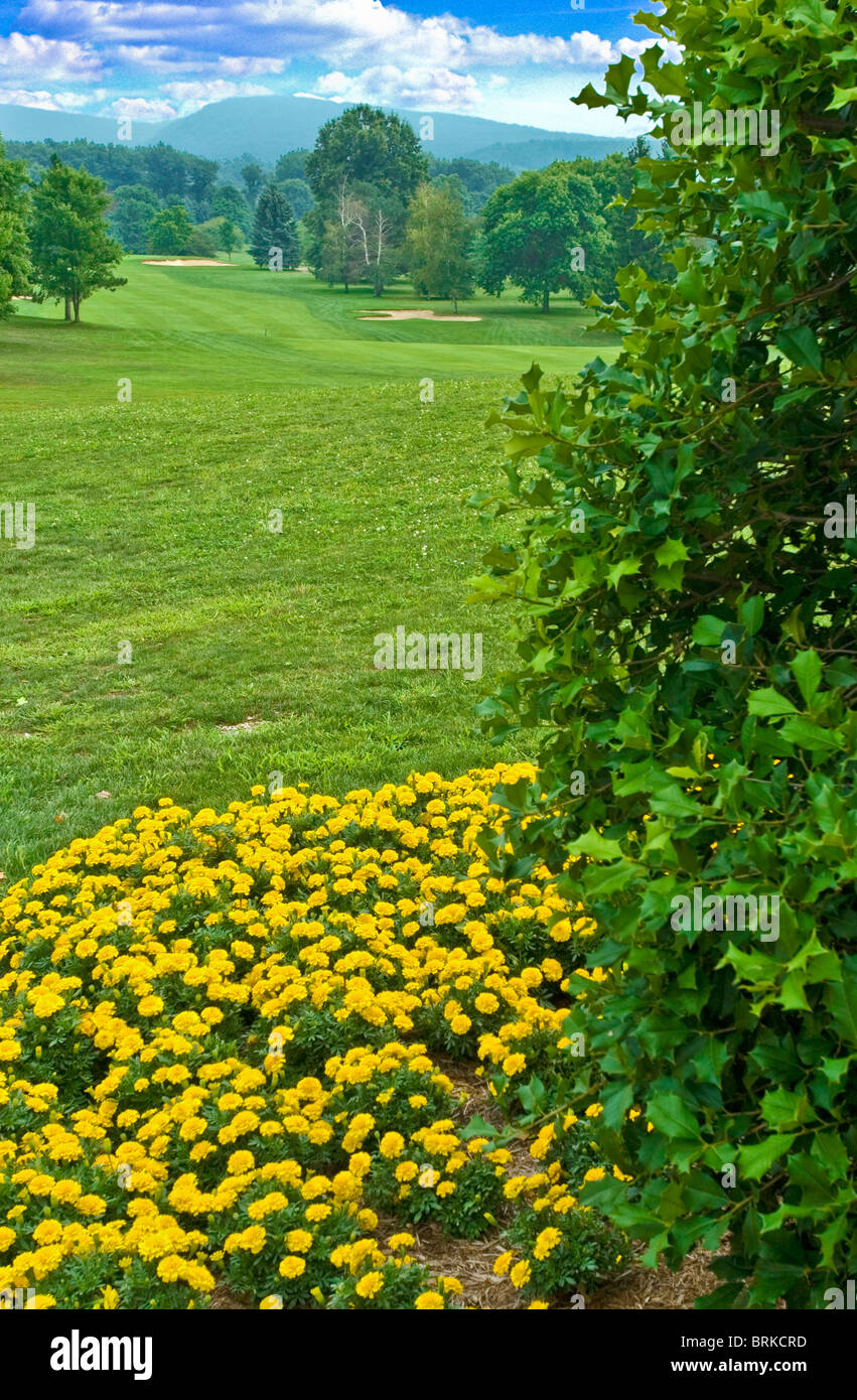 Bucolic rolling countryside landscape, country club golf course Stock ...