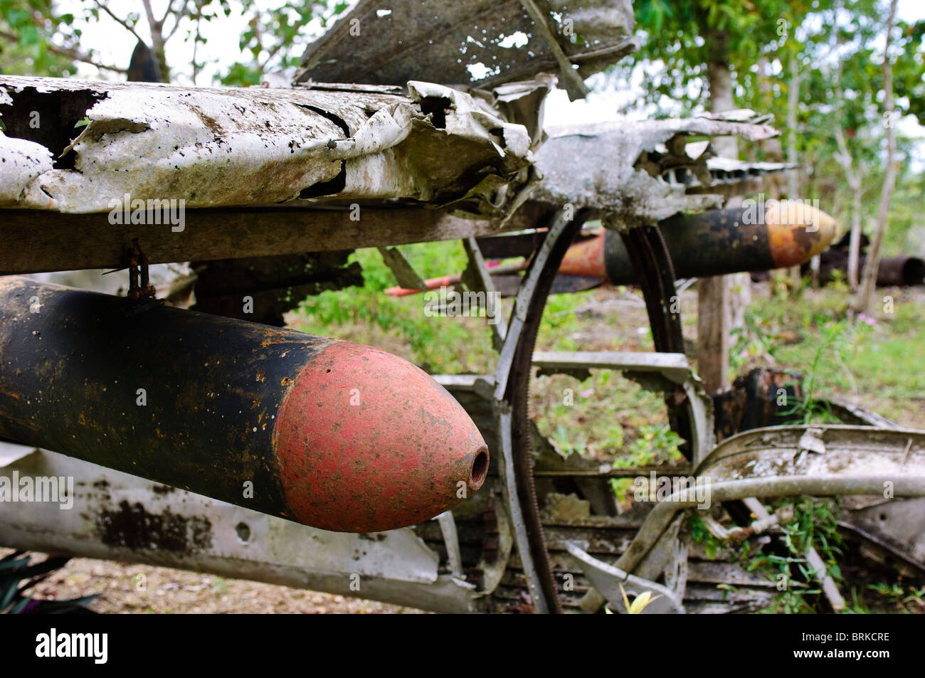 Small bomb mounted on the wreckage of a plane from WWII, Biak West ...