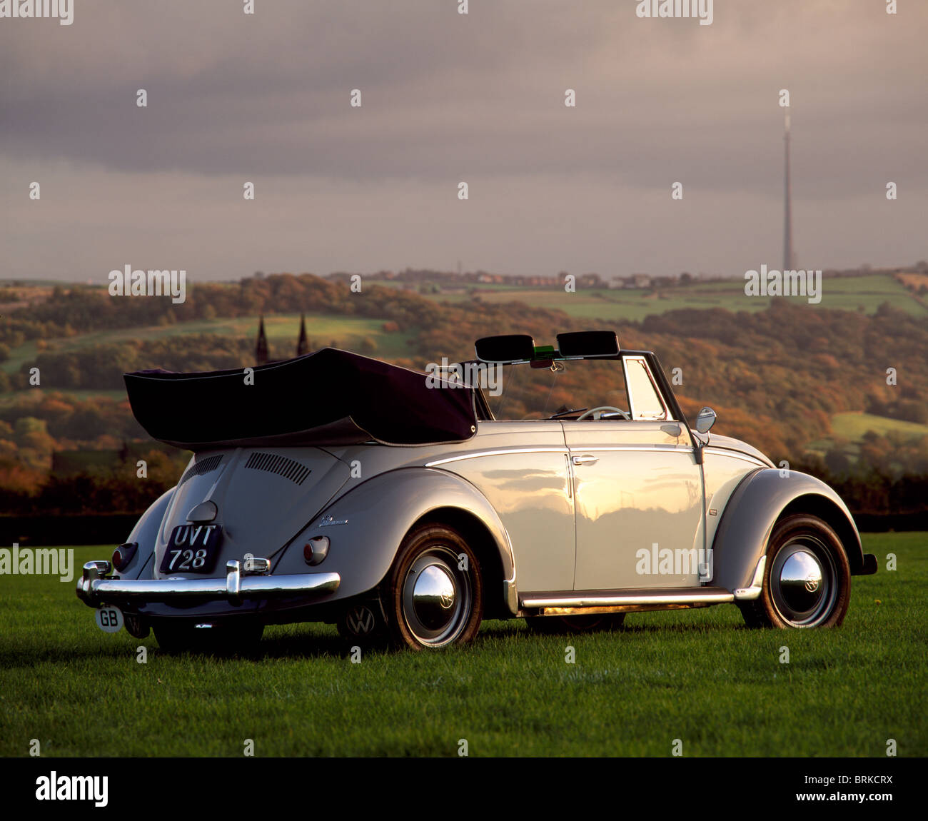 1954 Volkswagen Beetle Cabriolet in countryside Stock Photo - Alamy