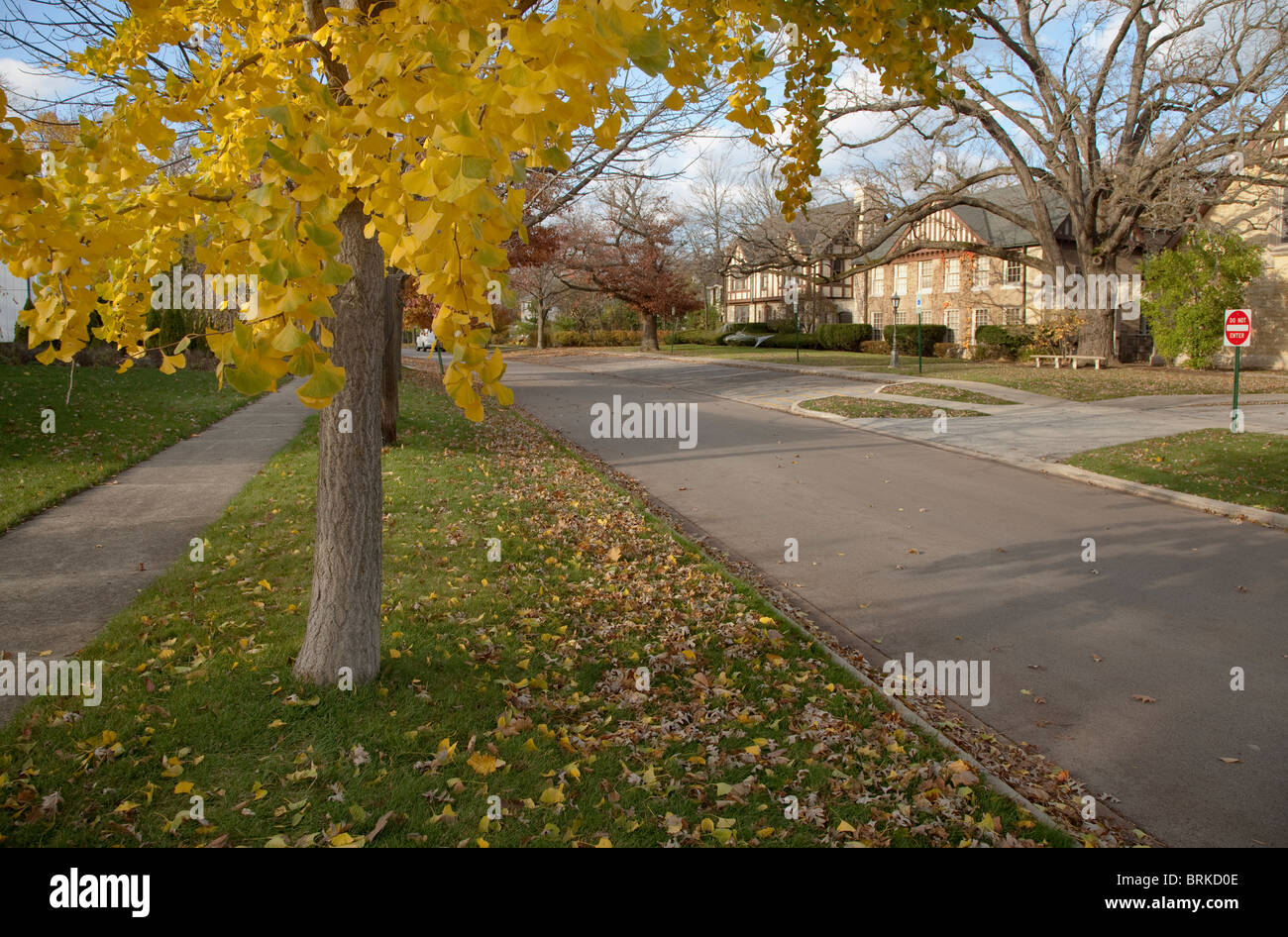 Chicago suburb suburban hi-res stock photography and images - Alamy
